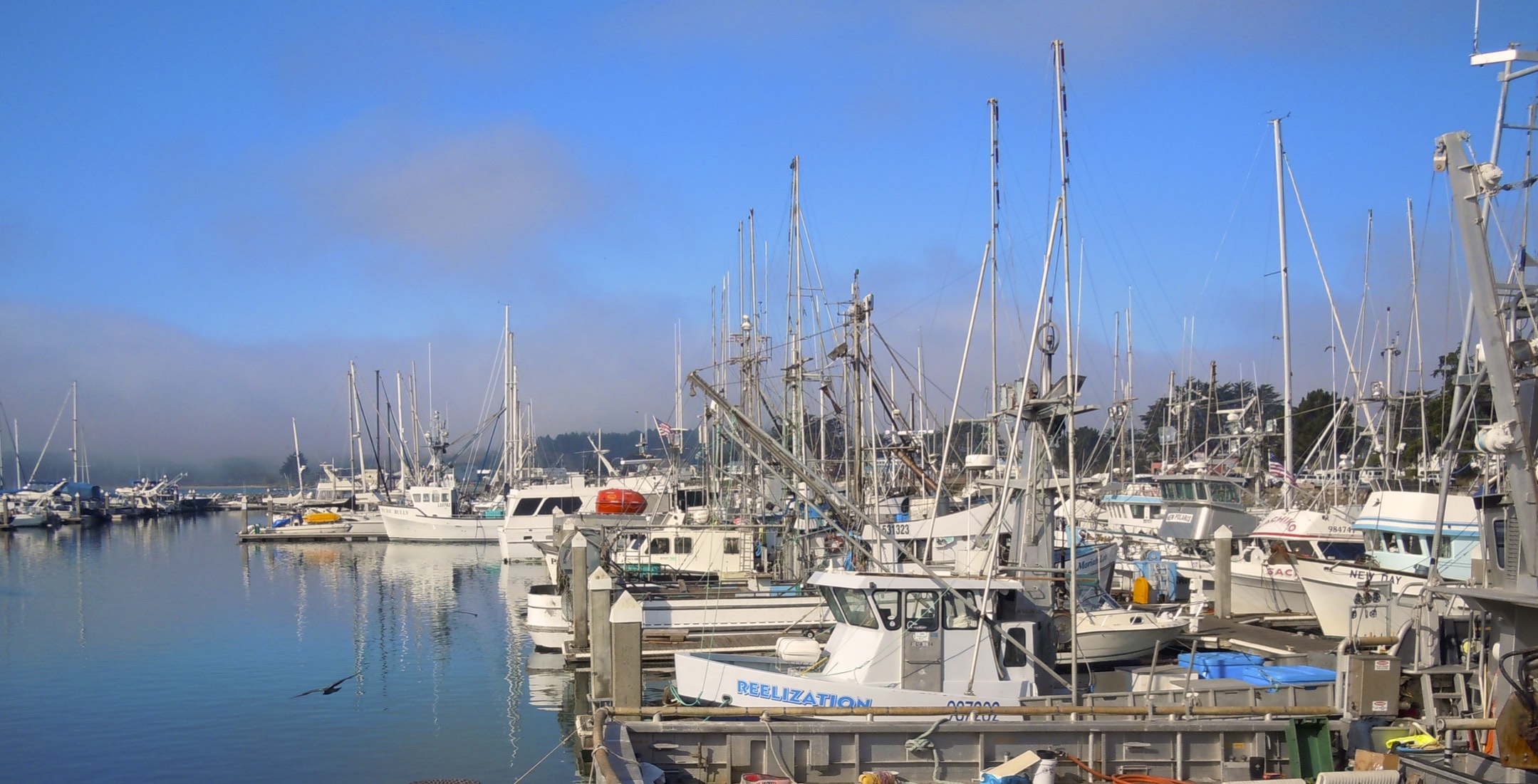 Seascape/Beach – Blue Ravine Designs