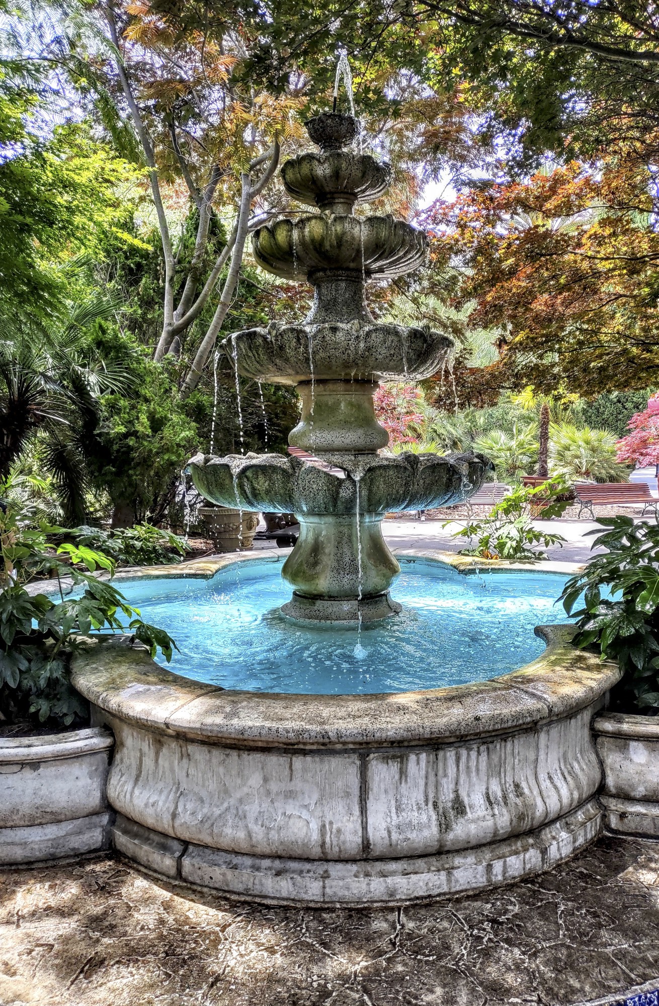 Cityscape/ Urban Outdoor – Blue Ravine Designs